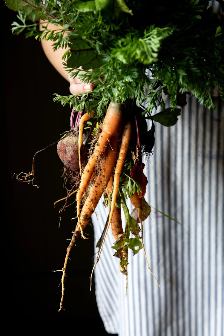 Cooking and baking classes in Maine for adults and kids | Green ...