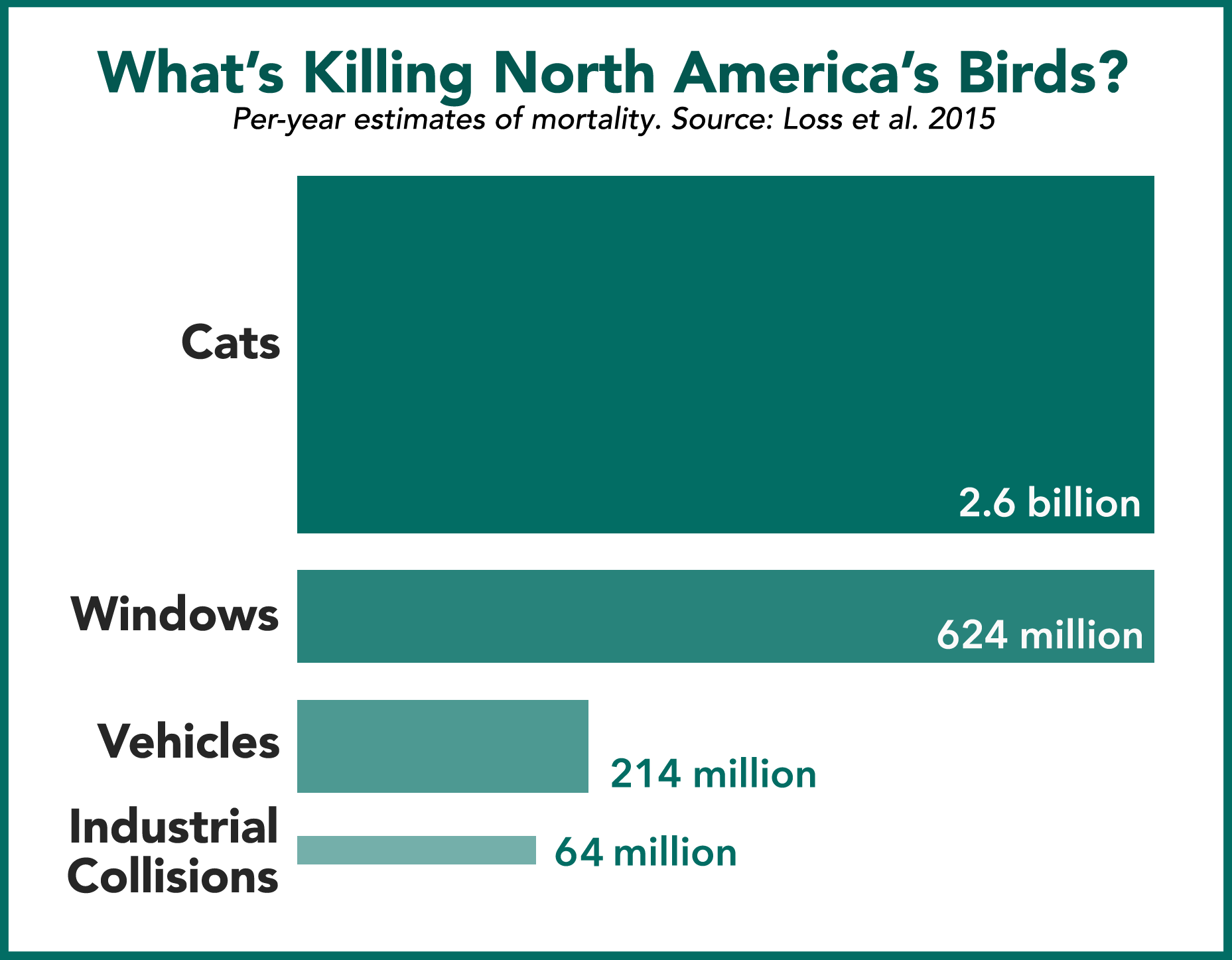 Major Findings — #BringBirdsBack