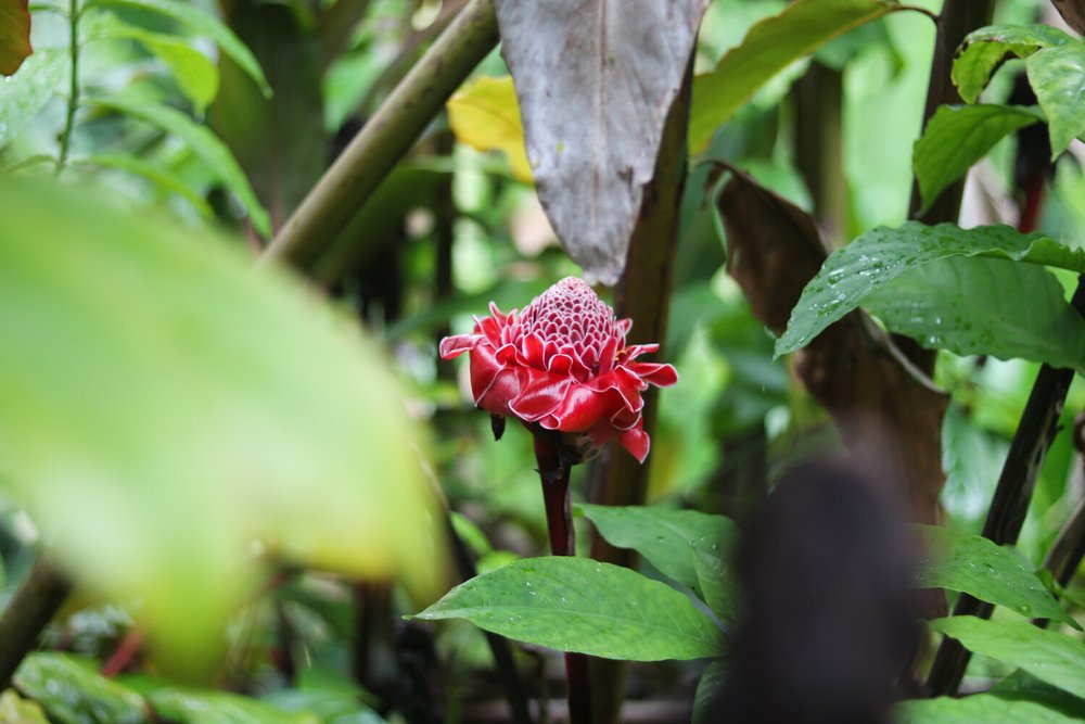 22 Sacred Rituals for Honoring Your Menstrual Cycle — Earth Daughters