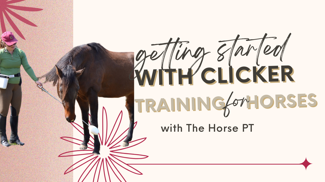 Clicker Training 101 (for Horses) — Dr. Barbara Parks, PT, DPT, CERP ...