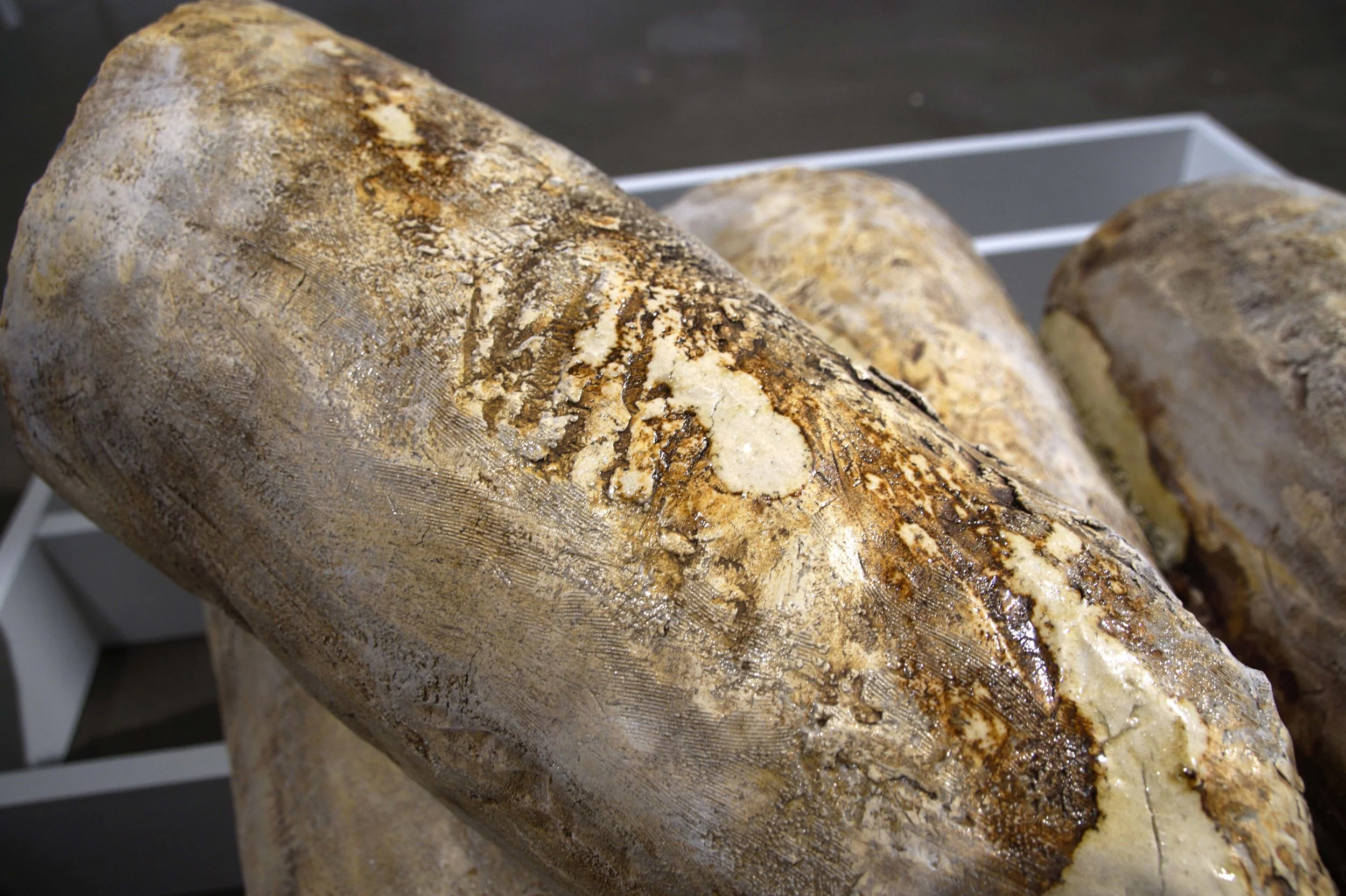 clay-2020 — Daniel J Clauson