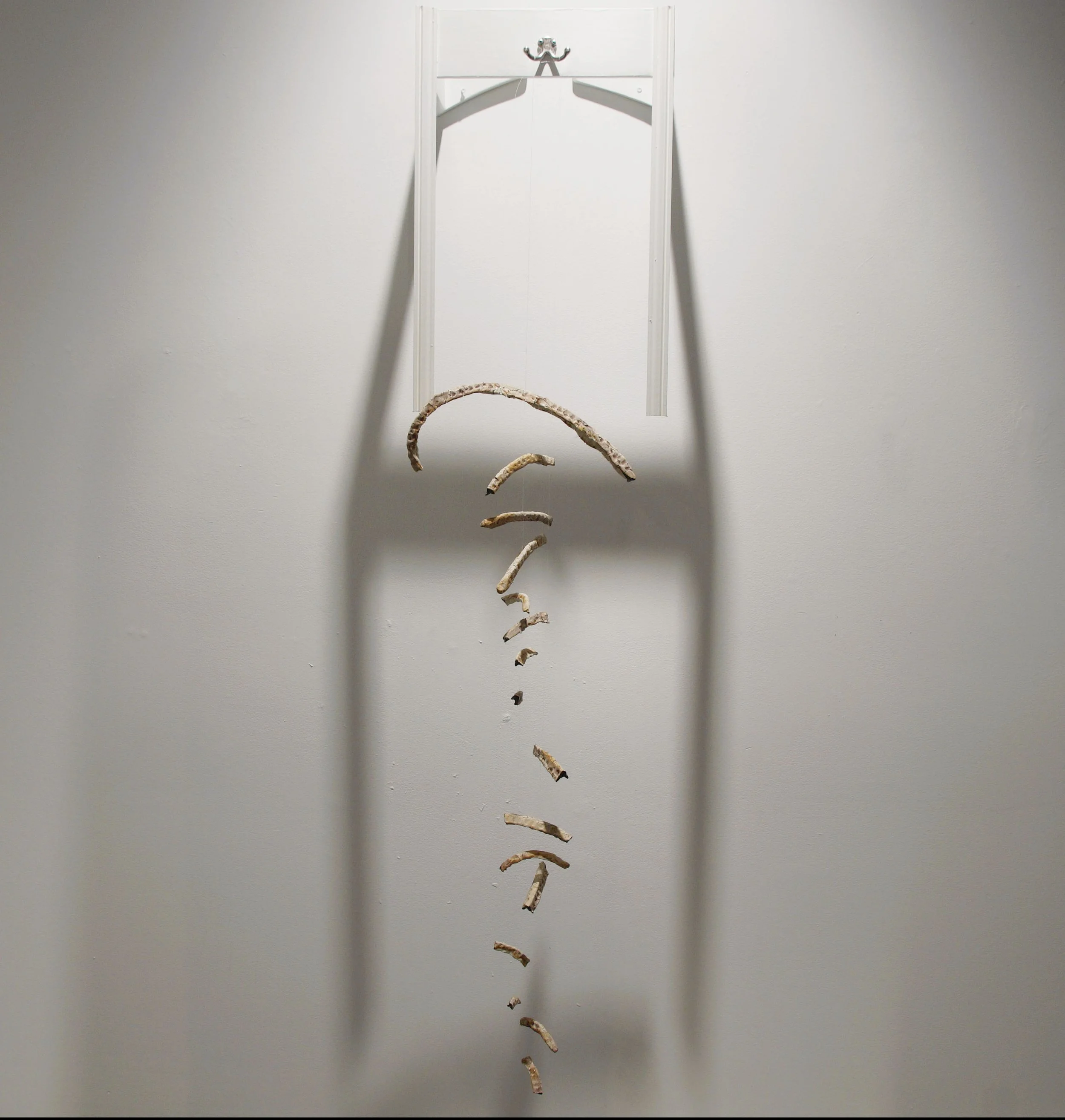 clay-2020 — Daniel J Clauson