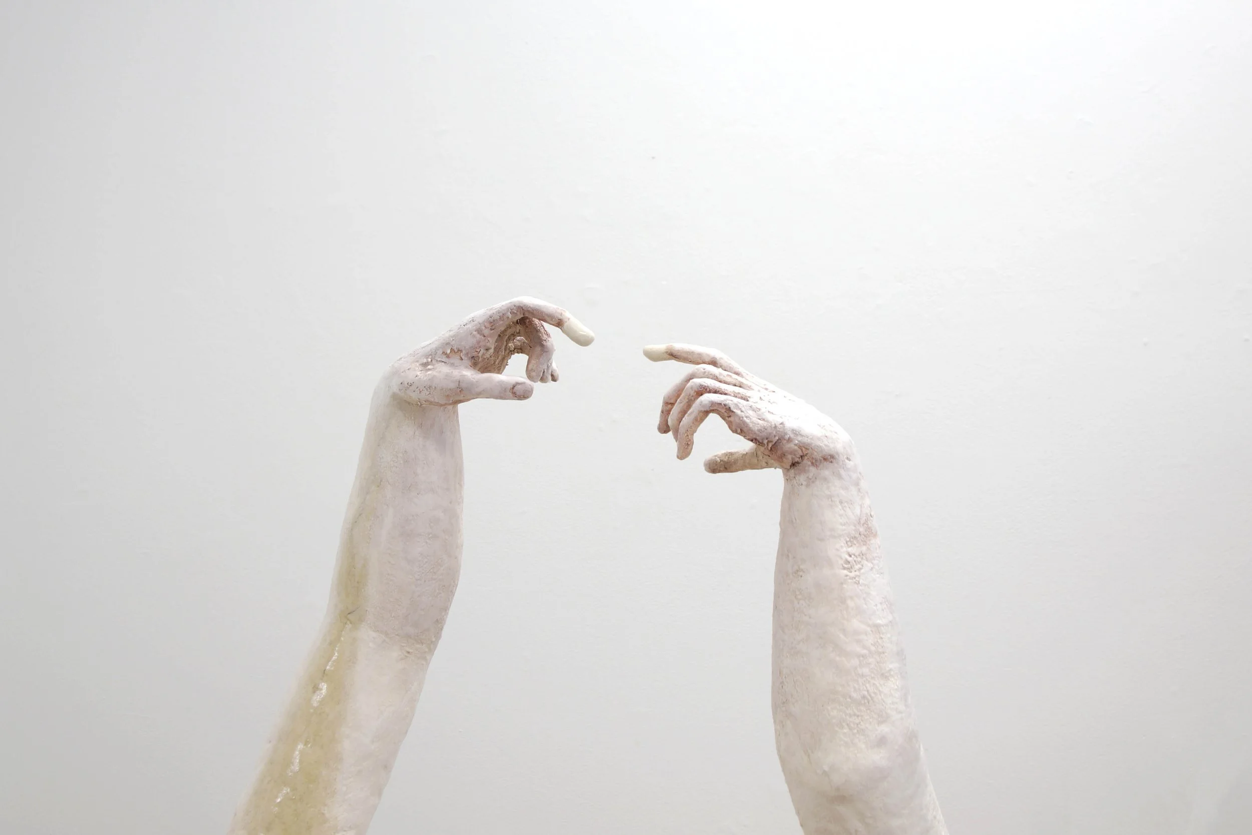 clay-2021 — Daniel J Clauson