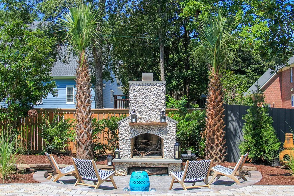 Cold-Hardy Palm Trees That Thrive in North Carolina Landscapes — Thorpe ...