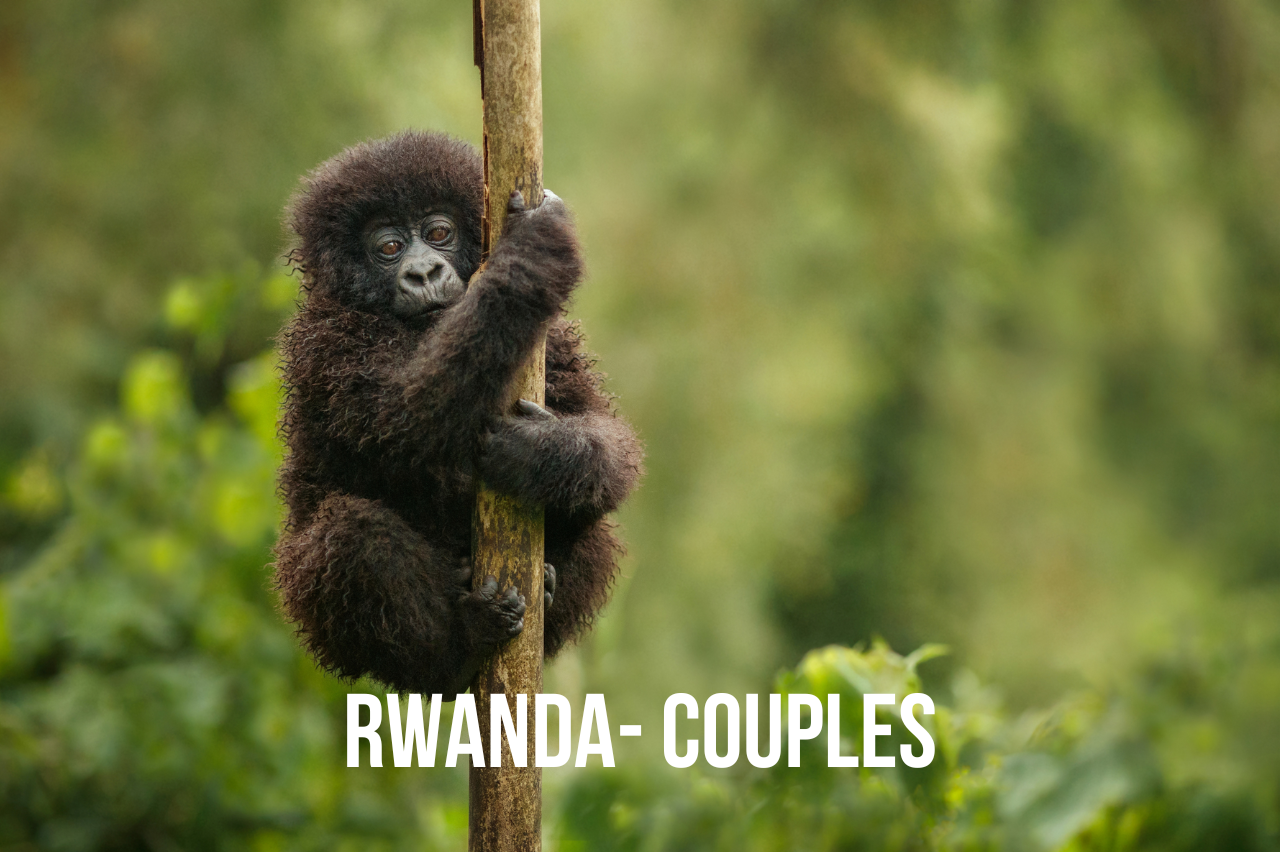 Into the Wild Women's Retreats