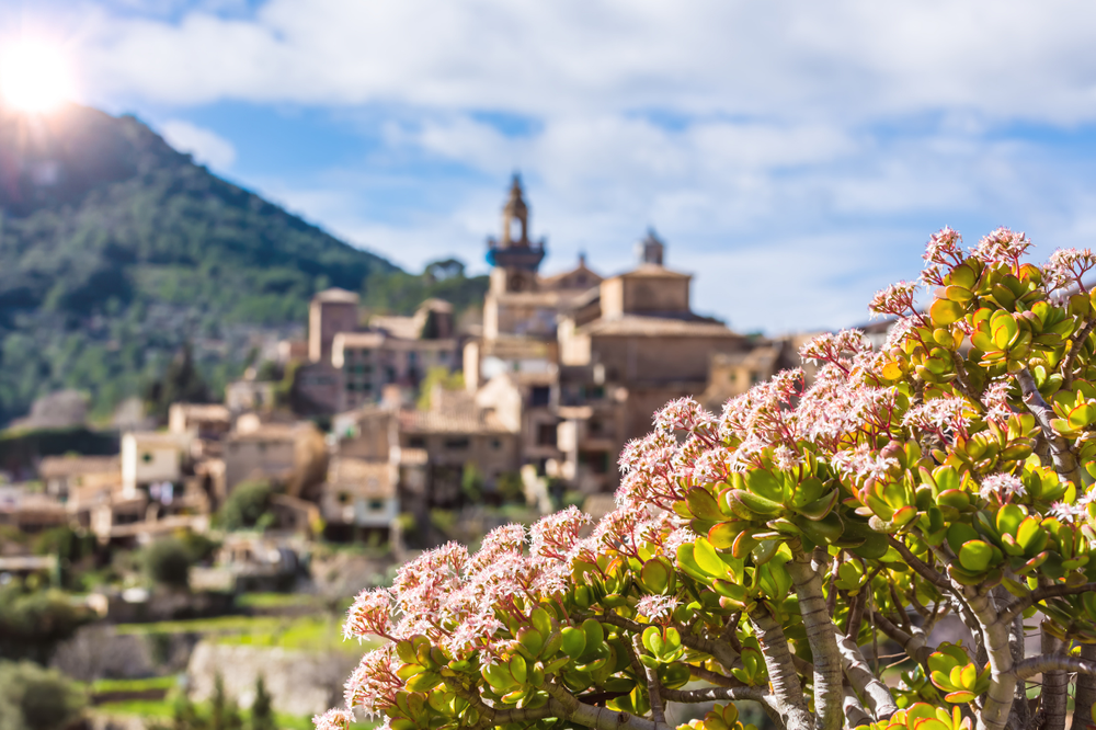 Majorca: June 10-16, 2025 — Into the Wild Adventure