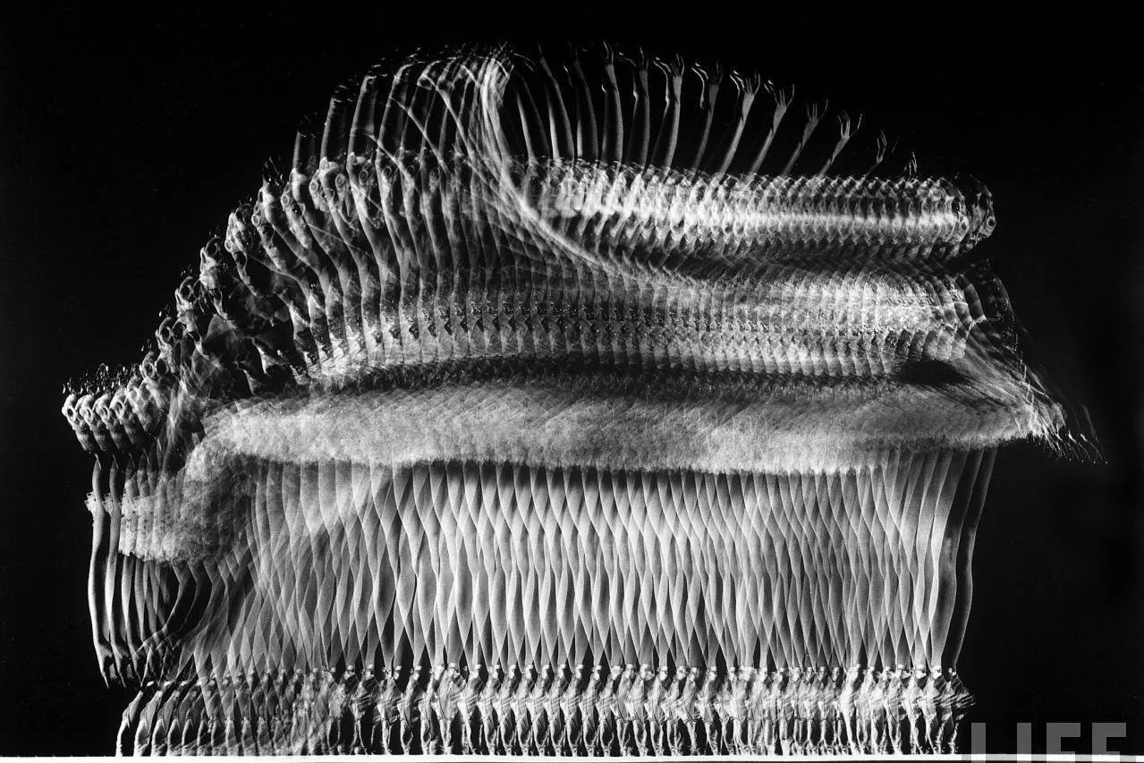 Nike Toronto — jdaustin