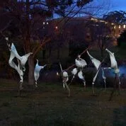 Guildhouse collection project — Gail Hocking