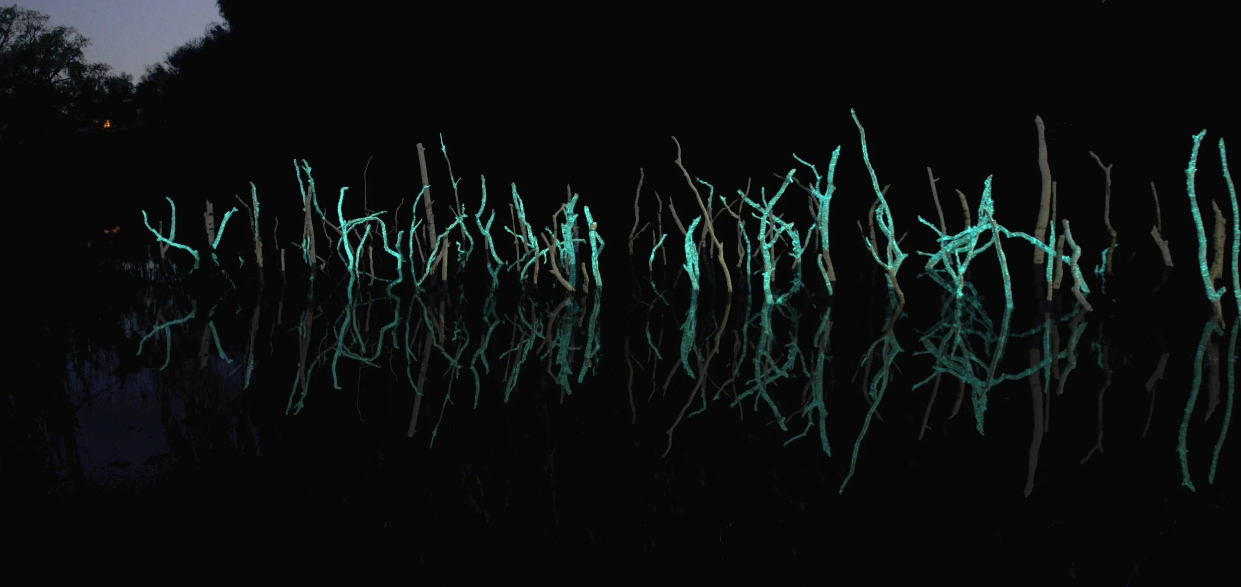 Disturbing a silent voice — Gail Hocking