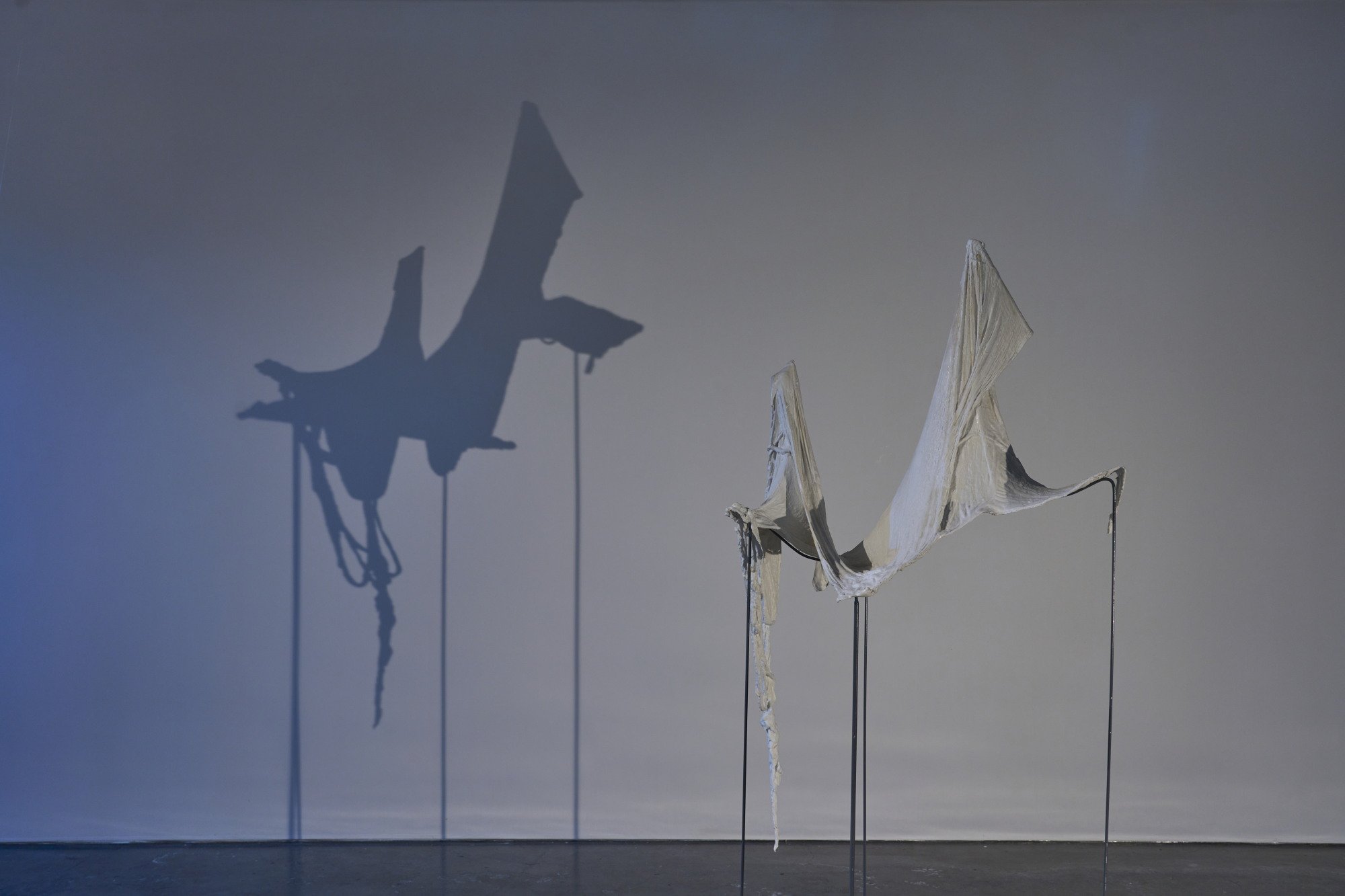 Standing At The Edge of Memory — Gail Hocking