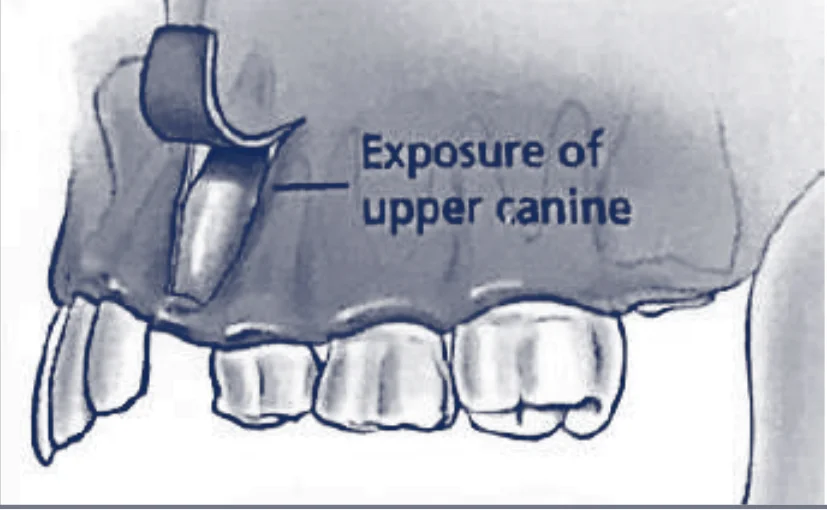 General Information — OMS Specialists