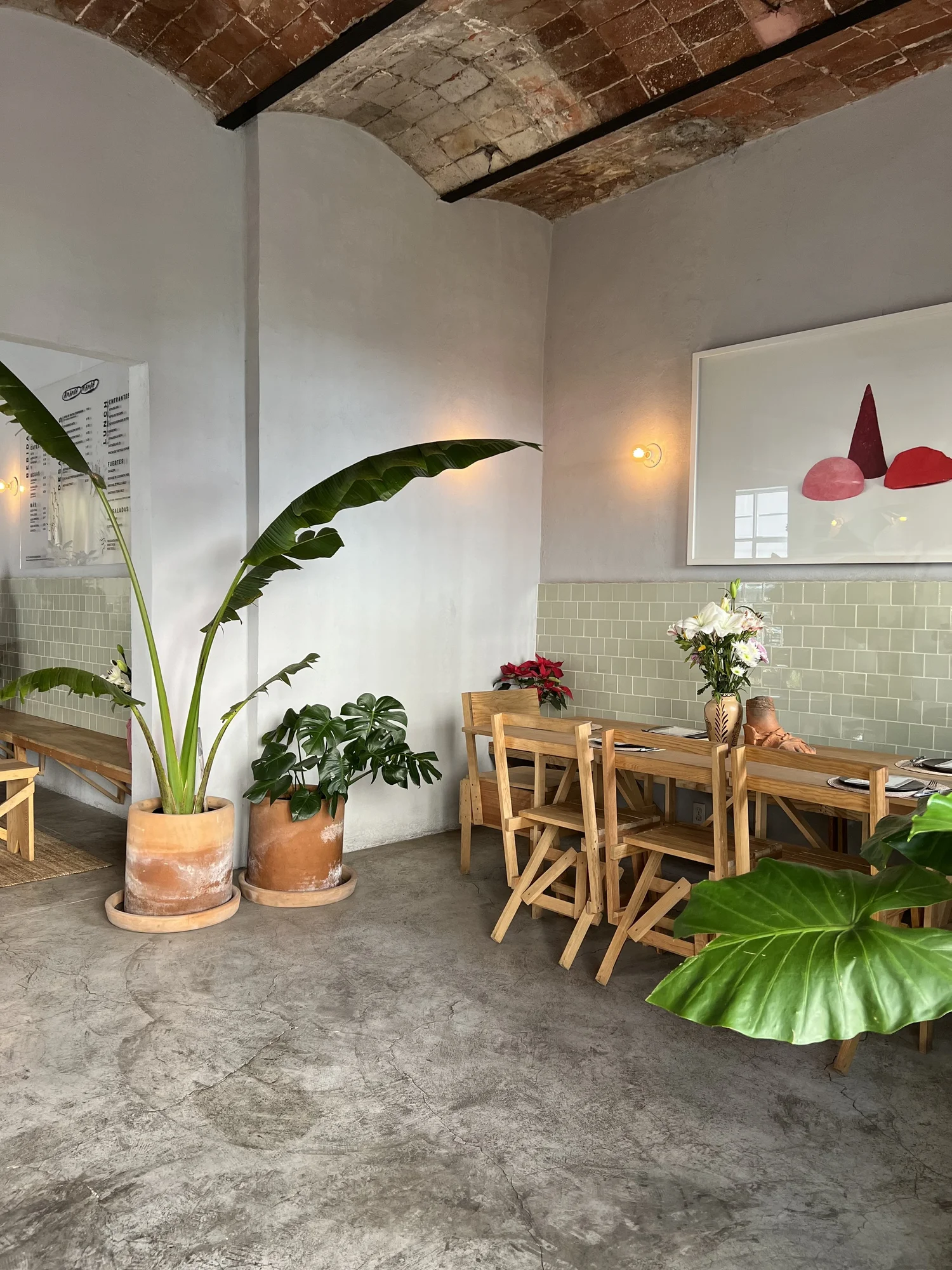 Amanda Manda - Mexico City — palms and bricks