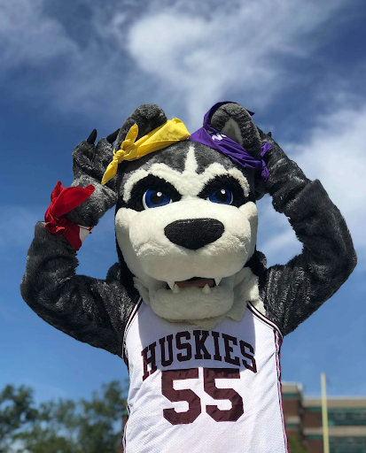 The Life of the Anthropomorphic Huskies’ Mascot — The SMU Journal