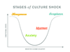 Battling Cultural Shock: Tips for Coping Strategies — The SMU Journal