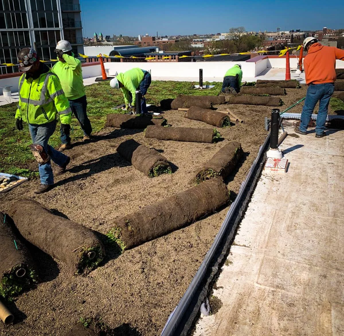 Image Gallery Green Roof — Olsson Roofing