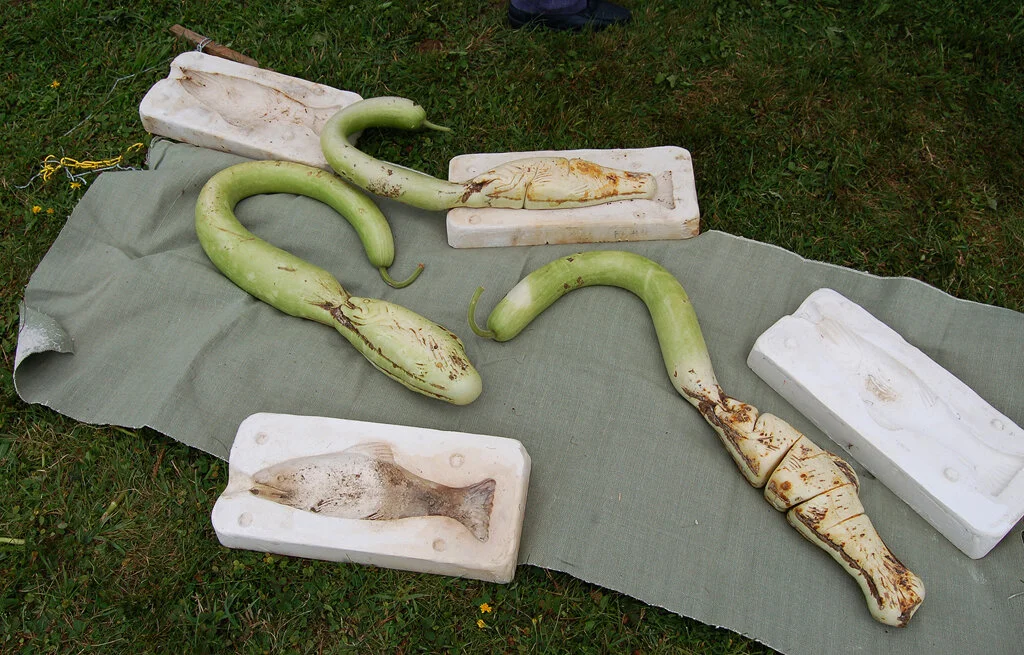 PRESS — Susan Camp