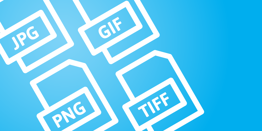 Logo File Types Explained: AI, EPS, PDF, SVG, and Raster Guide ...