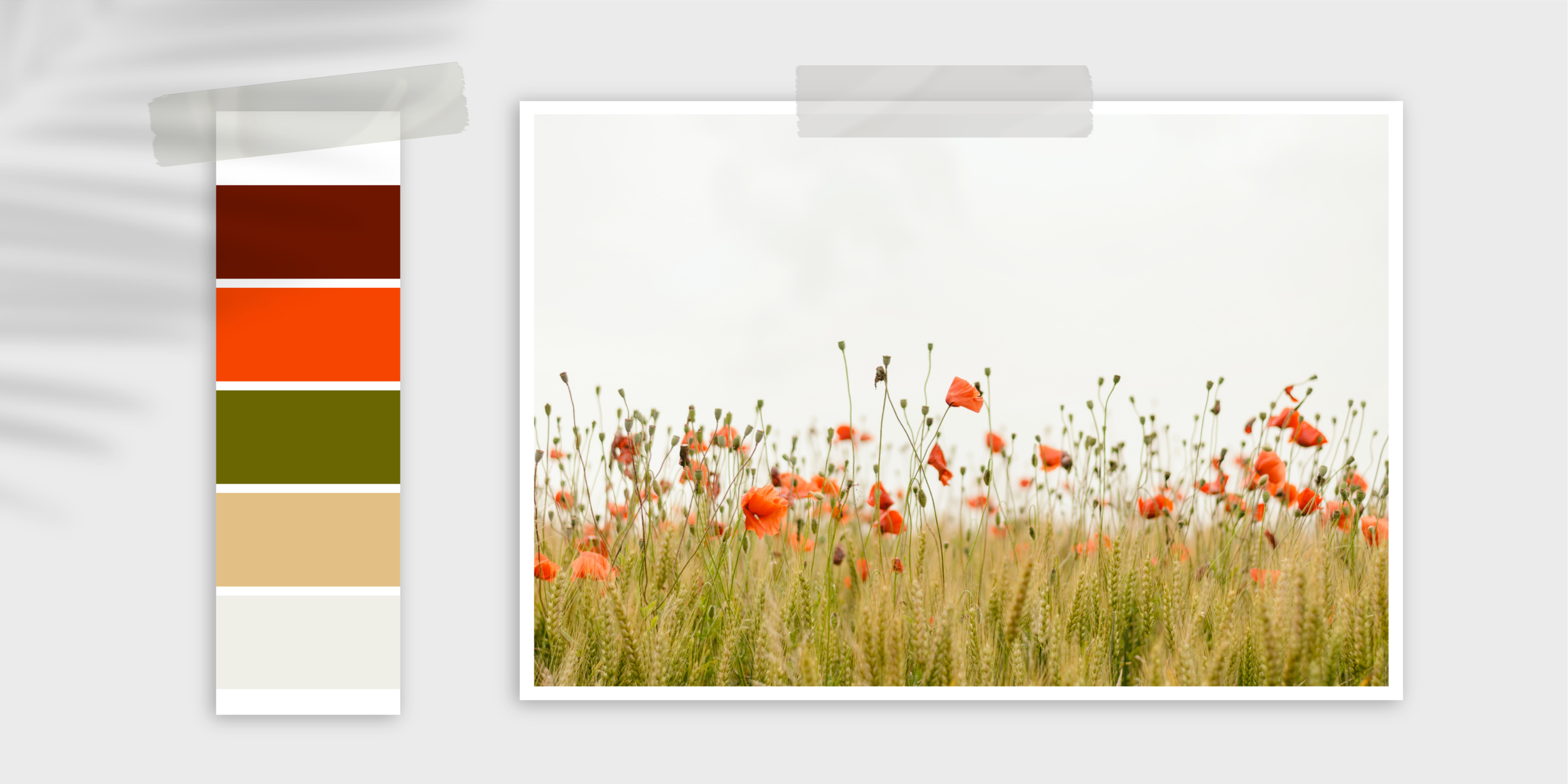 Quick Color Palette Creation—Plus 12 Examples to Get You Inspired ...