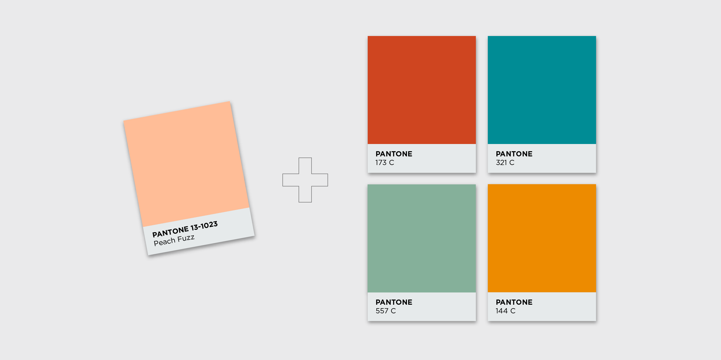 6 Ways to Use the 2024 Pantone Color of the Year — Chelsea Liske Design