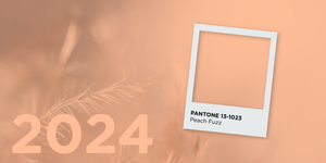 6 Ways to Use the 2024 Pantone Color of the Year — Chelsea Liske Design