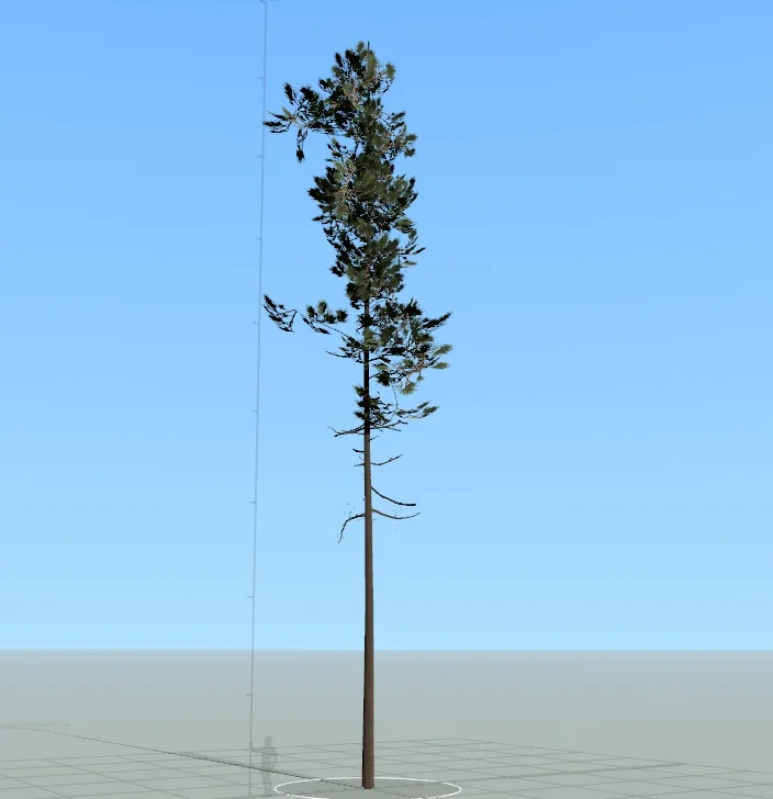 USING PHOTOGRAMMETRY AND MEGASCANS TO PLANT A FOREST — Experience points