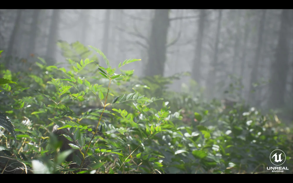 USING PHOTOGRAMMETRY AND MEGASCANS TO PLANT A FOREST — Experience points