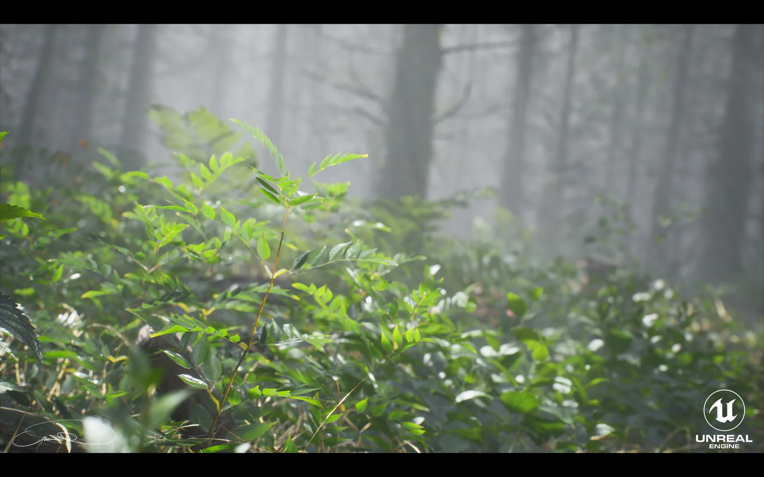 USING PHOTOGRAMMETRY AND MEGASCANS TO PLANT A FOREST — Experience points