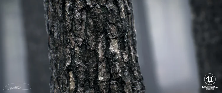 USING PHOTOGRAMMETRY AND MEGASCANS TO PLANT A FOREST — Experience points