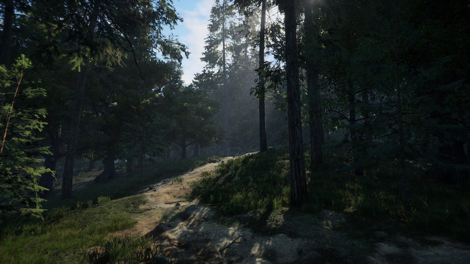 European Forest Environment in Unity — Experience points