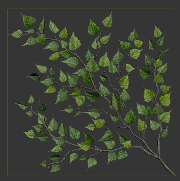 European Forest Environment in Unity — Experience points