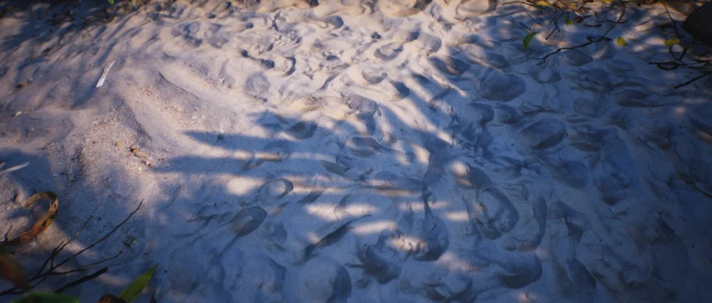 Cast Away - Recreating a Classic in UE4 — Experience points