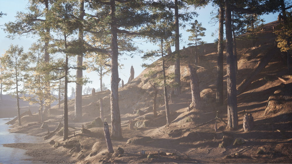 Megascans Pine Forest in Unreal Engine 4 — Experience points