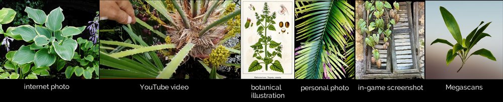 Sven Mrđen - Foliage Study — Experience points