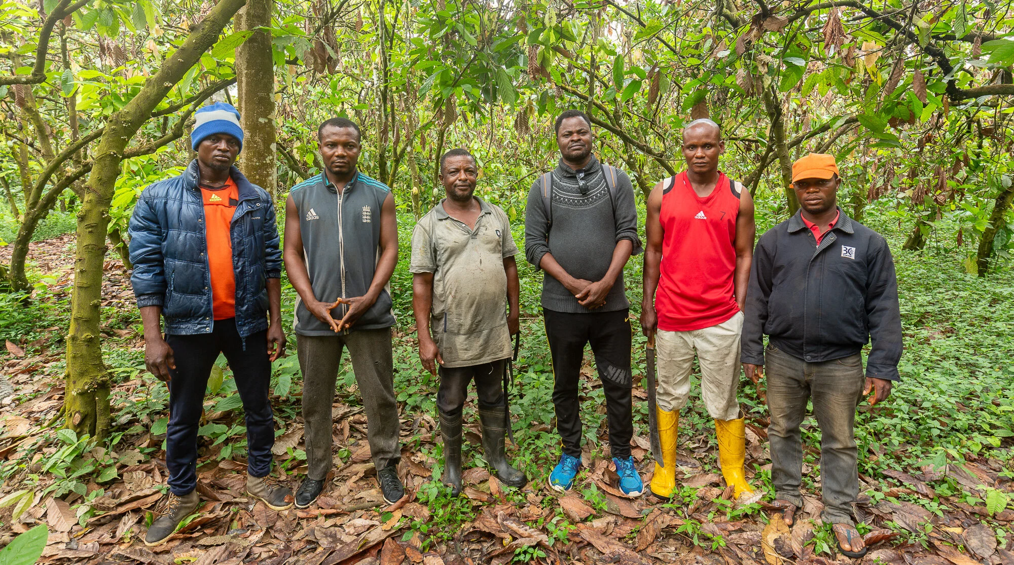 Reforestation Programme — The Rainforester