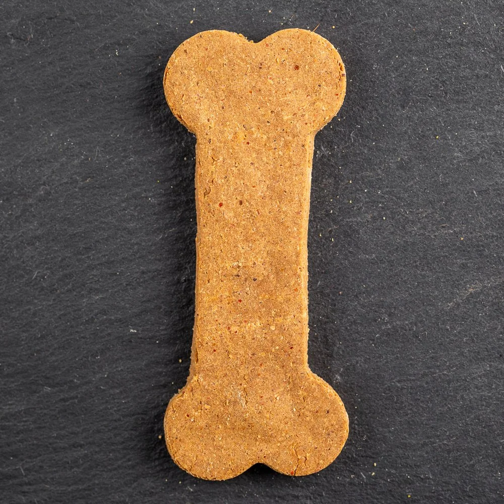 Store — The Rainforester