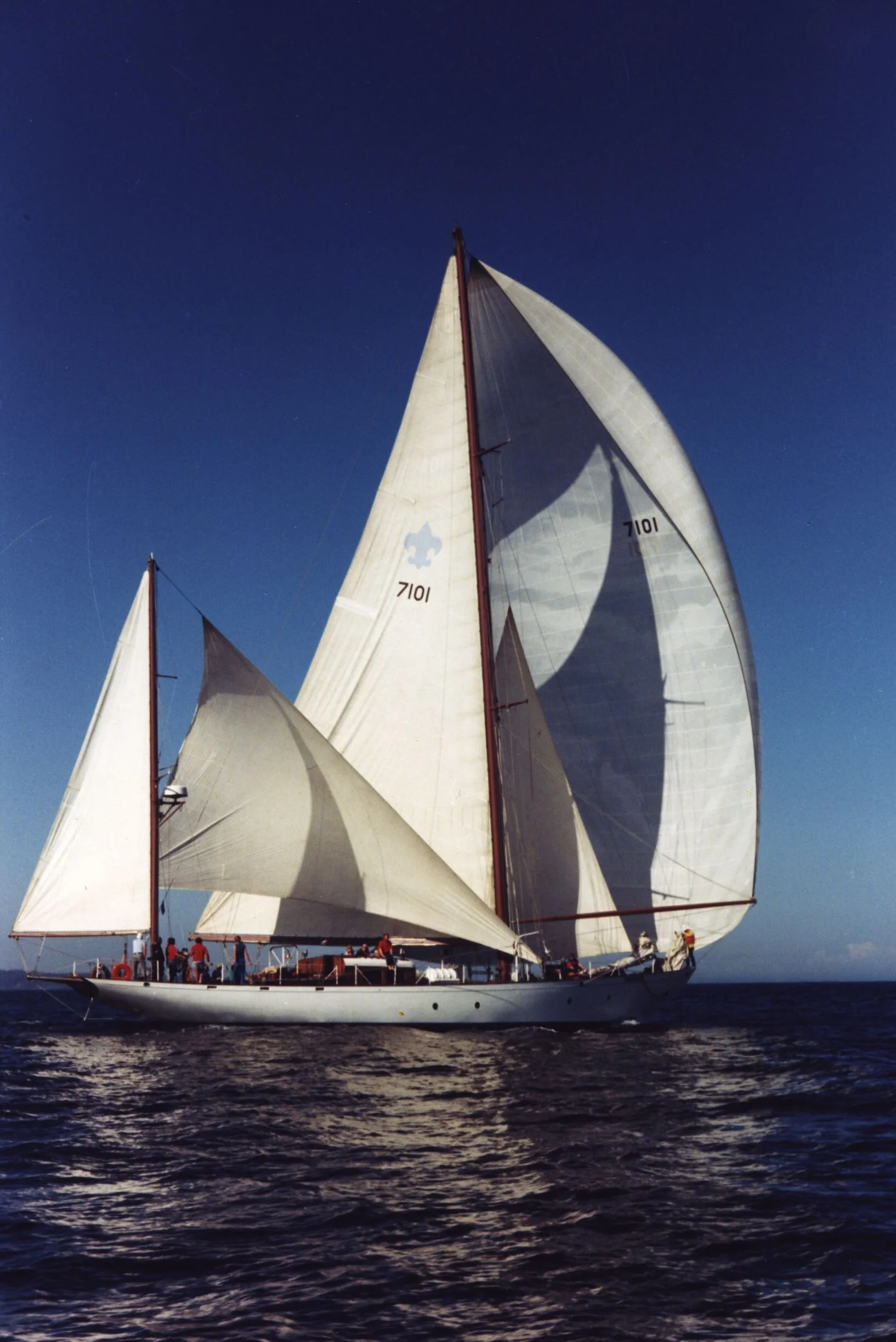 Tacoma’s Own Tall Ship Is Sailing in Rough Waters — Youth Marine Foundation
