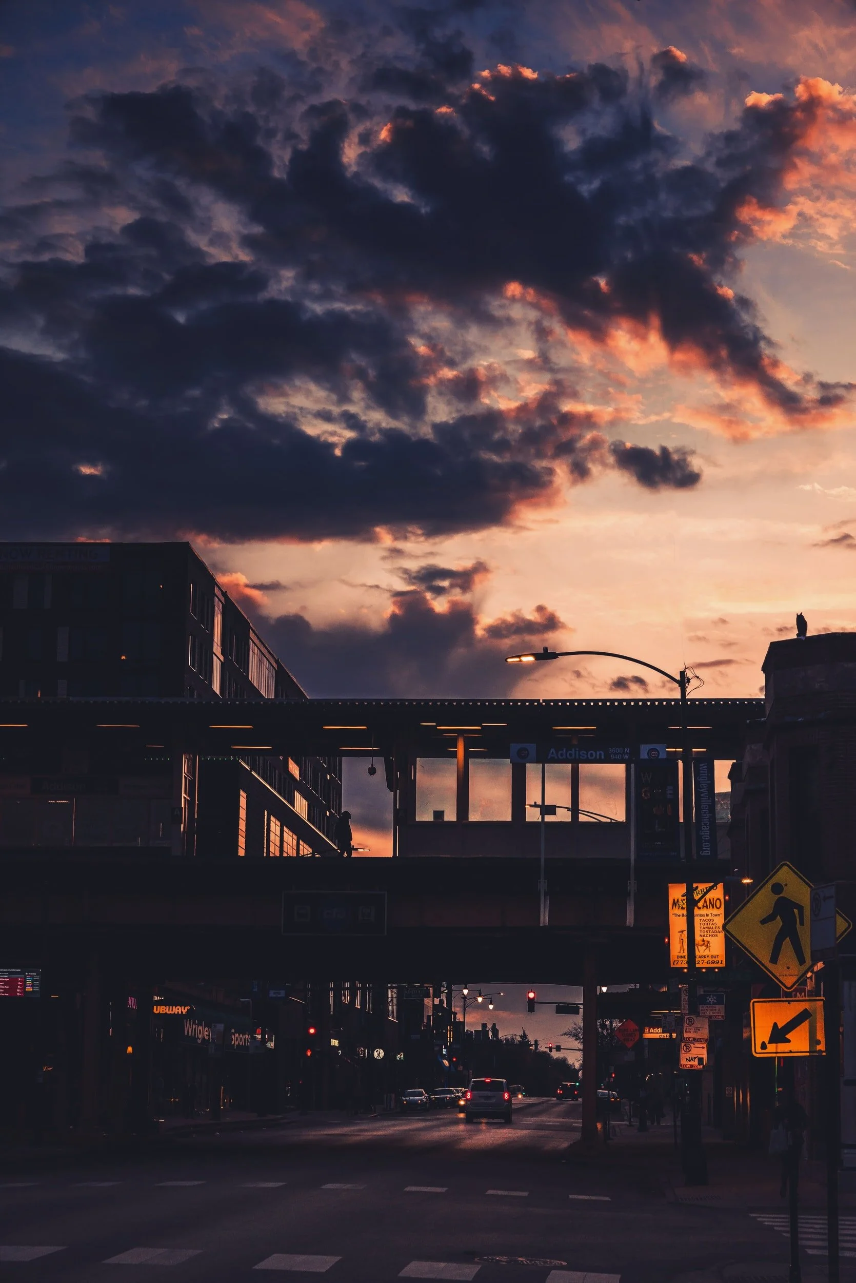 Root Beer — THE CUBBY BEAR
