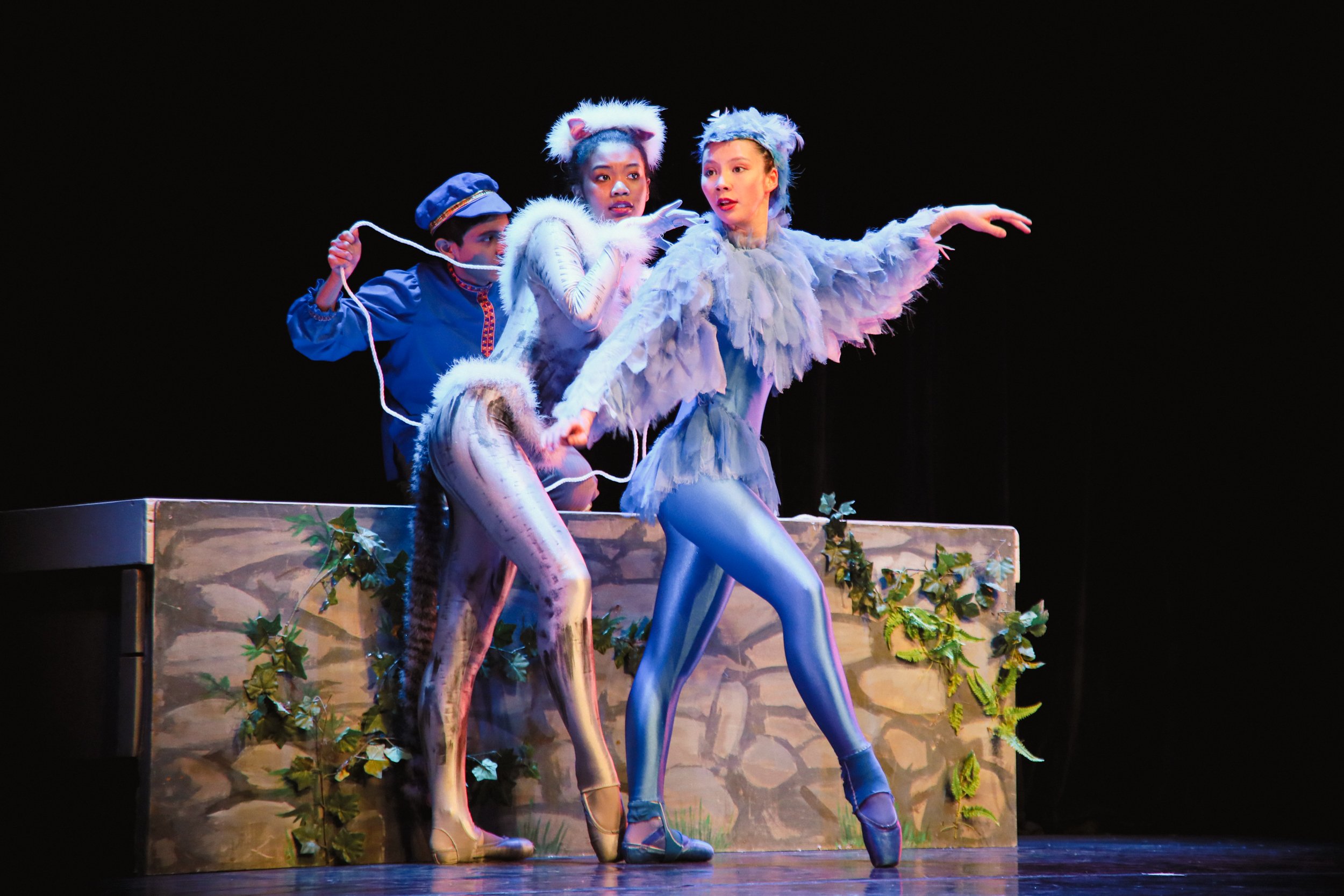 Westchester Ballet Company Westchester Ballet Company