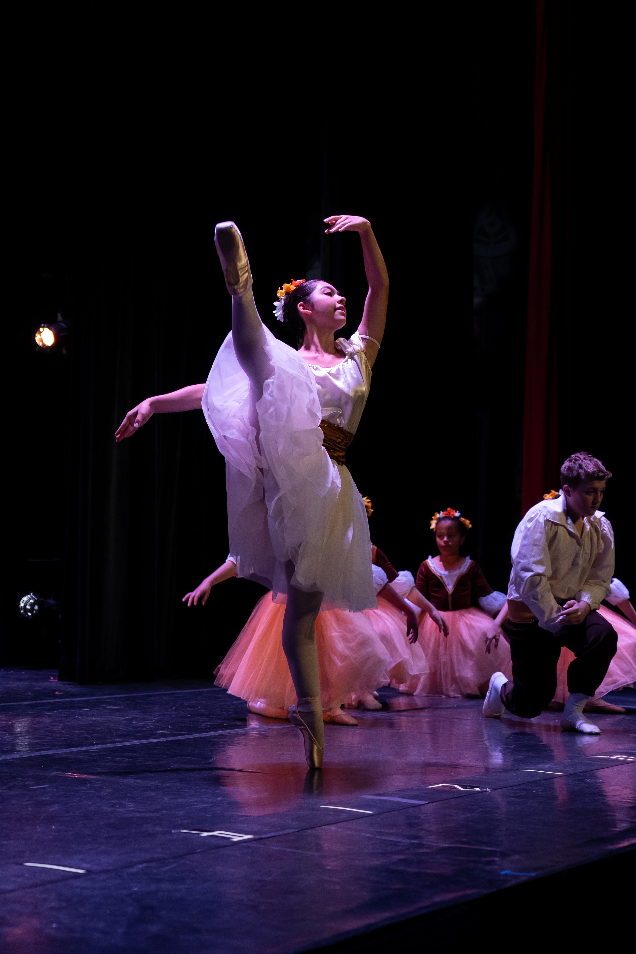 Westchester Ballet Company Westchester Ballet Company