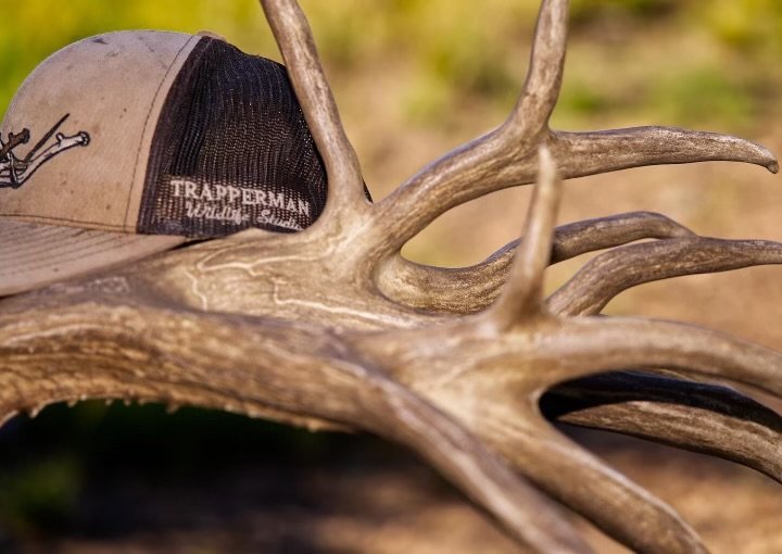 Antler Replicas contact — Trapperman Antlers