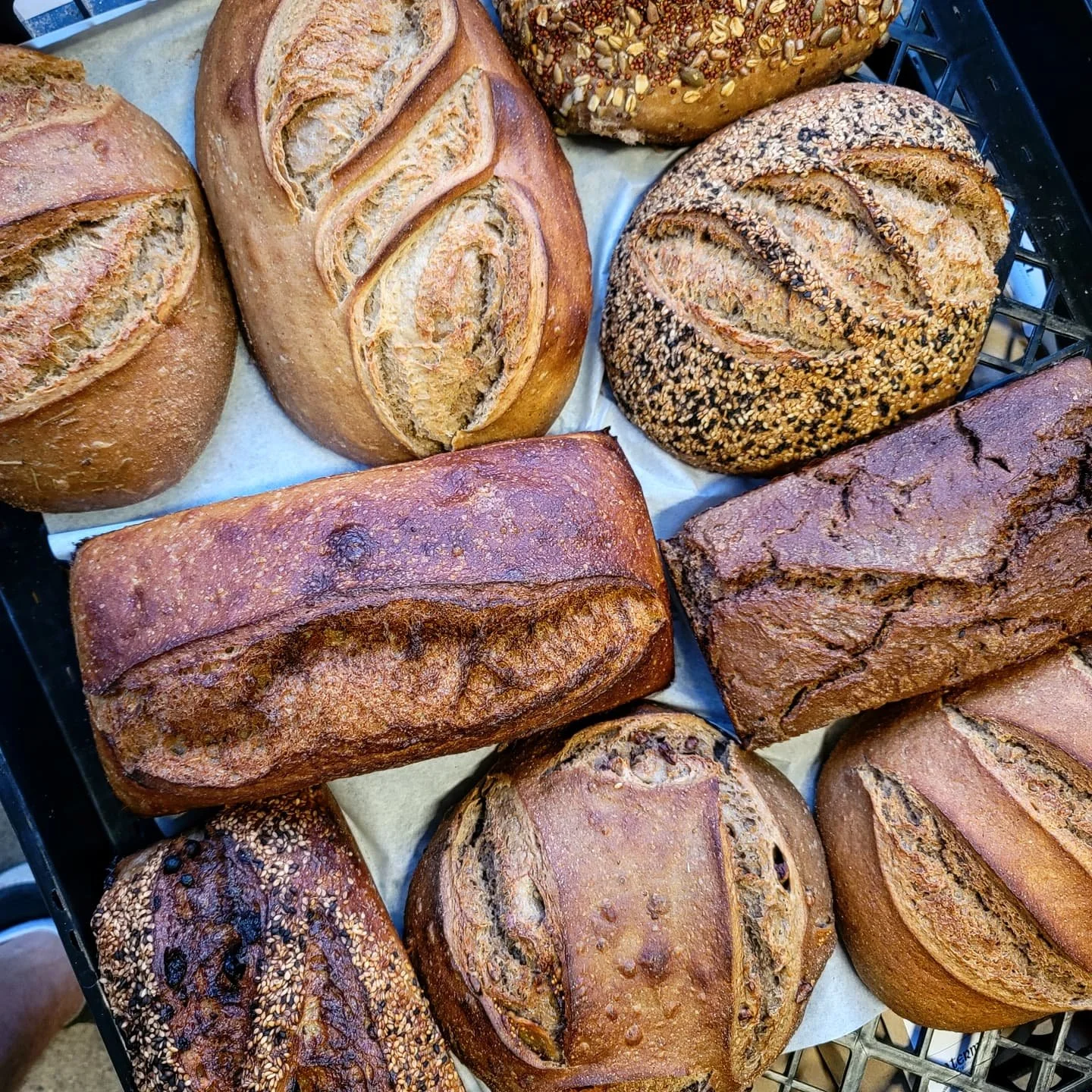 Our Process — Raterman