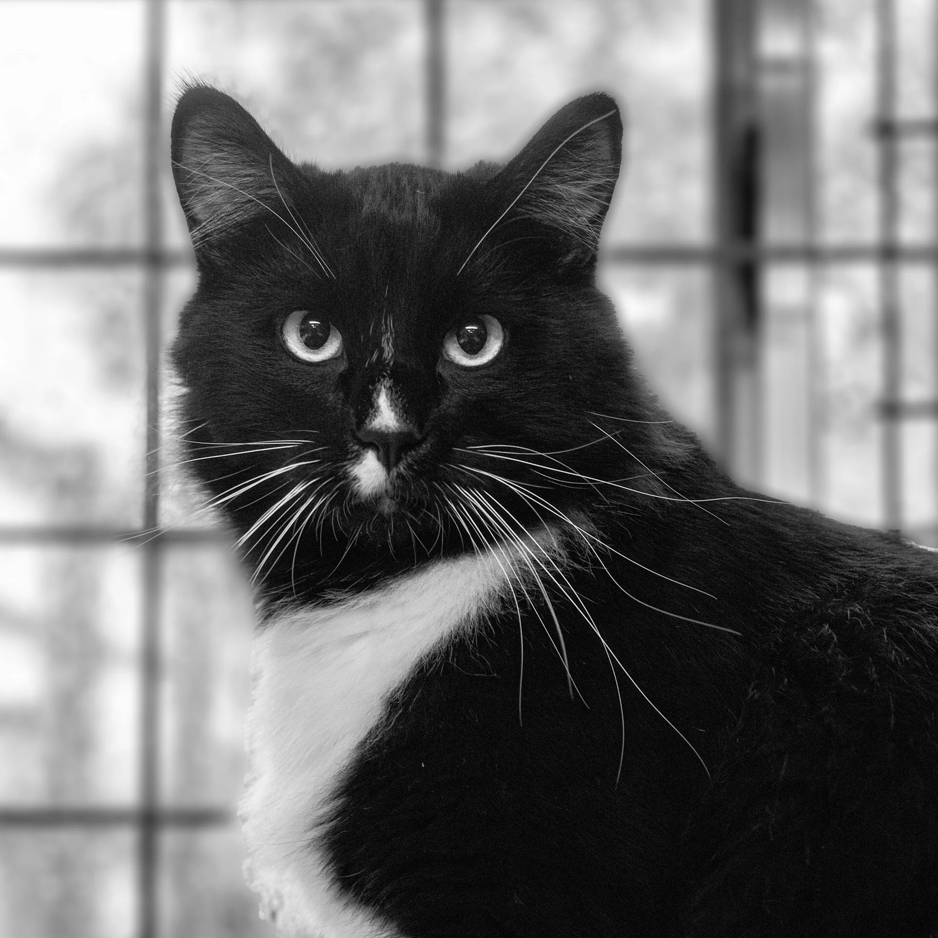 Who We Are — Barbara Butler Artist-Builder Inc. - Custom Treehouses ...