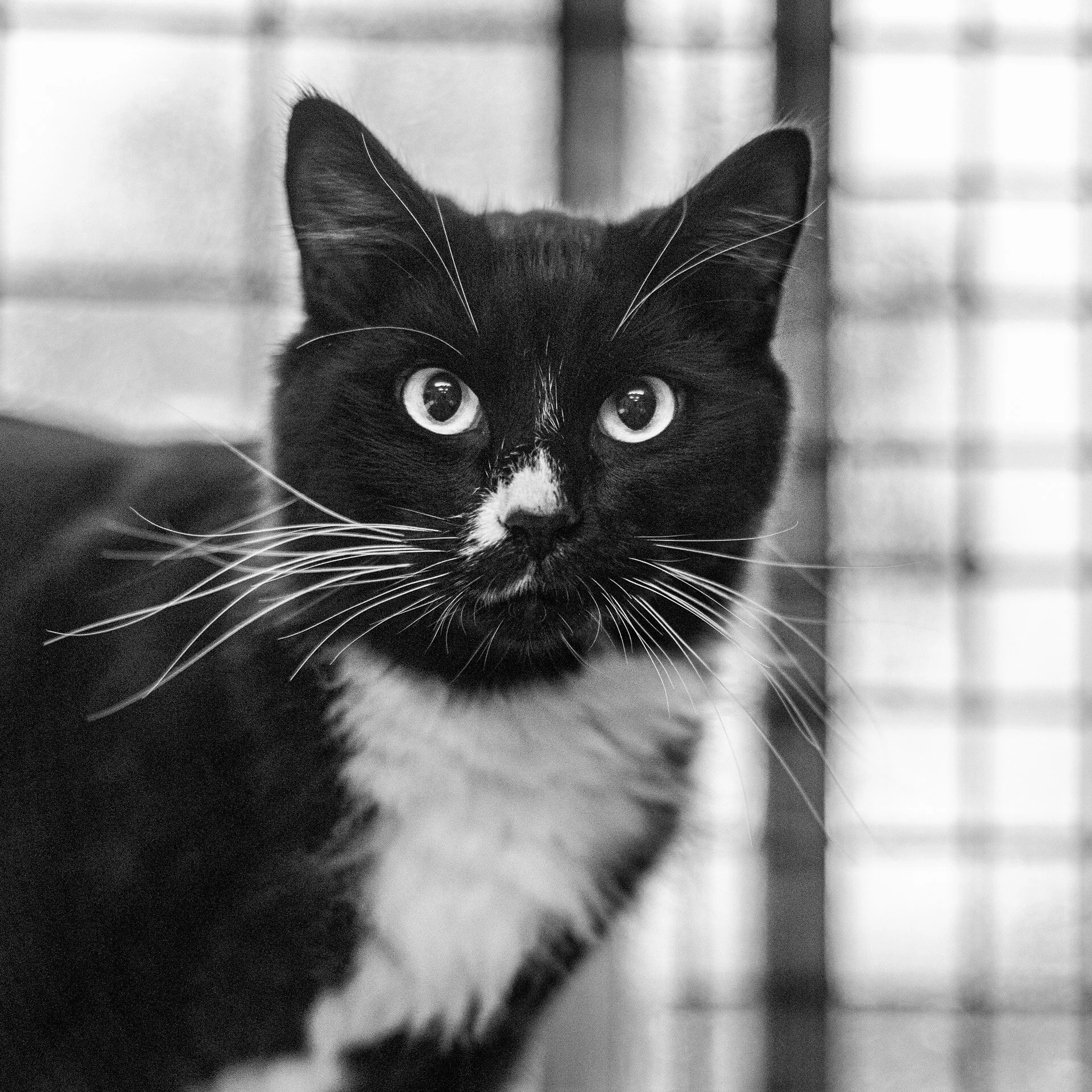 Who We Are — Barbara Butler Artist-Builder Inc. - Custom Treehouses ...