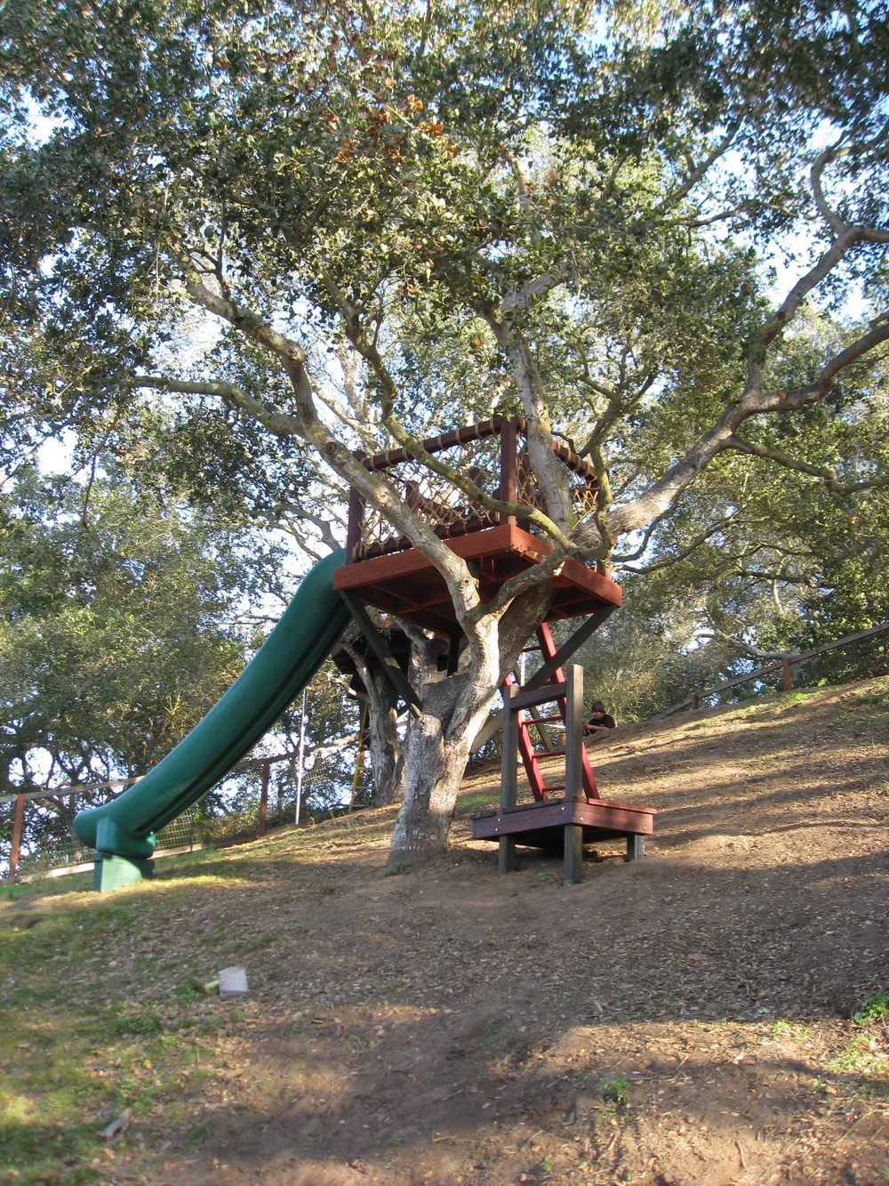 Ziplines & More — Barbara Butler Artist-Builder Inc. - Custom ...