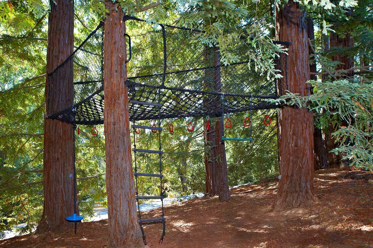 Ziplines & More — Barbara Butler Artist-Builder Inc. - Custom ...