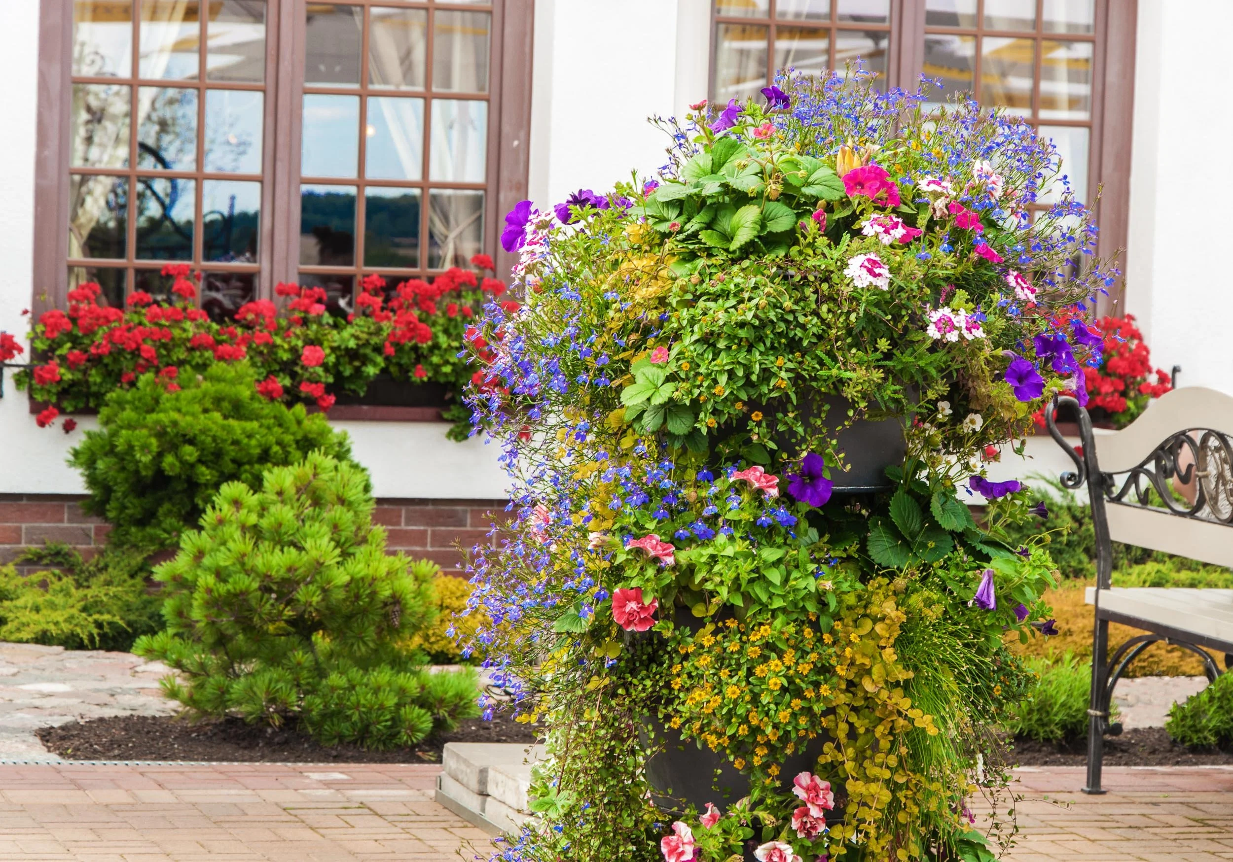 The Grass Girl - Nashville's Woman-Owned Bespoke Landscape, Garden, and ...