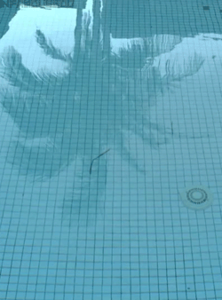 Fiction — Becky Robison