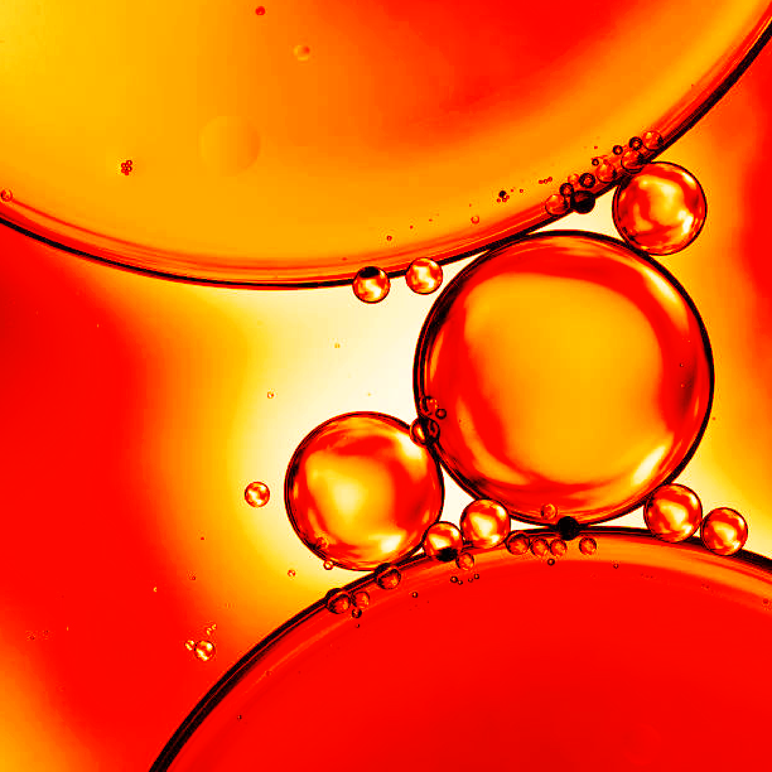 SeaBerry® (Sea Buckthorn) Ingredient — Puredia