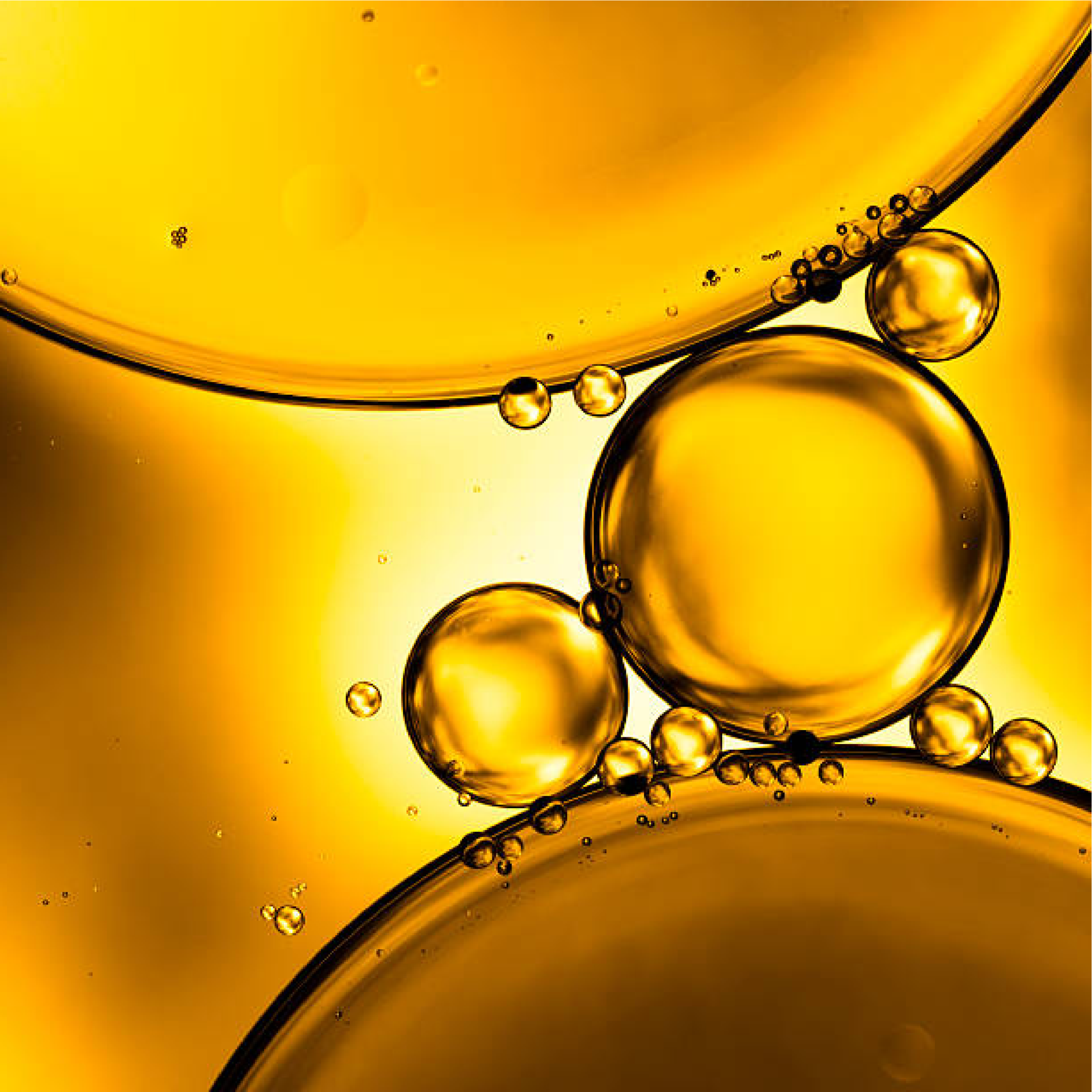 SeaBerry® (Sea Buckthorn) Ingredient — Puredia