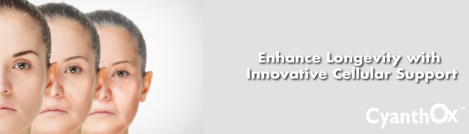 Revolutionize Anti-Aging Formulas: Innovative Cell Support — Puredia